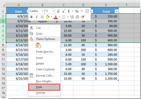 how to hide rows based on today s date in excel