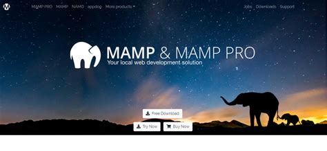 12 best web development software for web developer