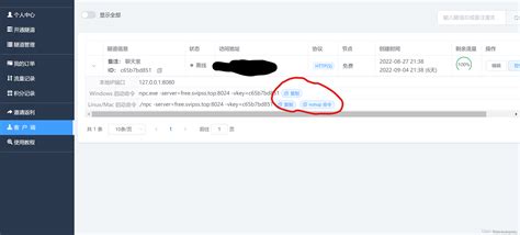 本地使用nginx部署vue项目 并且通过飞鸽内网穿透达到域名访问的效果 csdn博客