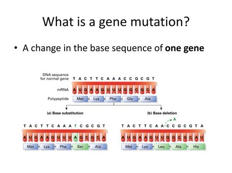 Ppt Mutations Powerpoint Presentation Free Download Id 2664465