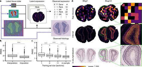 super resolved spatial transcriptomics by deep data fusion biorxiv