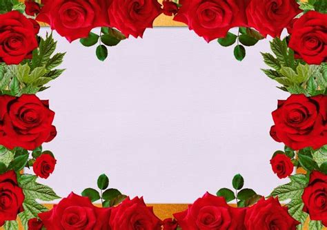 وورد ويب تحميل اطارات ورد Png للكتابة عليها جاهزة للصور Floral