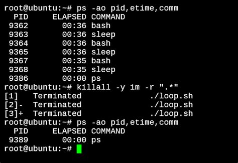 the killall command in linux linuxfordevices
