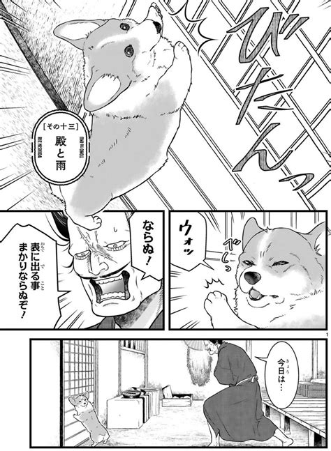 「コーギーと武士、雨の日編 1 4 漫画がよめるハッシュタグ」🐯アニメ化決定🐶『殿と犬（とのといぬ）』公式の漫画