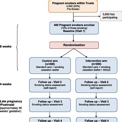 assessment of mental capacity a flowchart guide chart examples