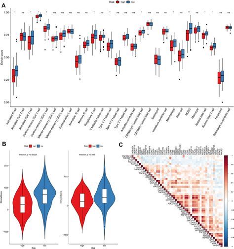 Frontiers Development And Verification Of A Hypoxic Gene Signature