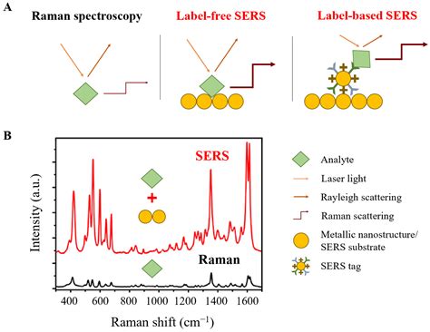 Biosensors Free Full Text Application Of Raman Spectroscopic