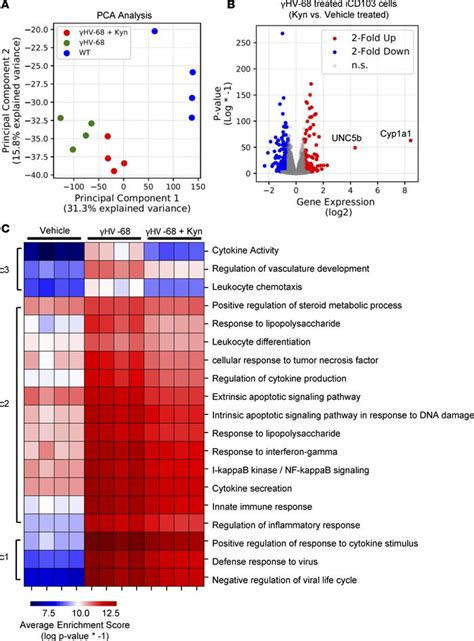 Jci Insight Stem Cell Transplantation Uncovers Tdo Ahr Regulation Of