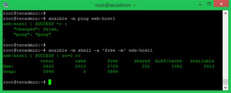 how to install and configure ansible on debian 10 tecadmin