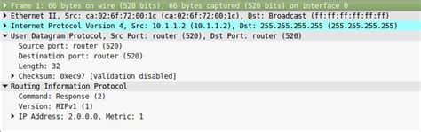 does dynamic routing protocols rip eigrp ospf bgp belong to
