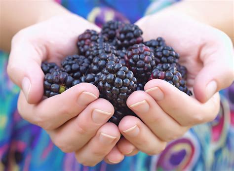 22 foods sex experts say to eat eat this not that