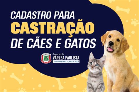 Prefeitura Fará Cadastro Para Castração De Cães E Gatos Neste Sábado