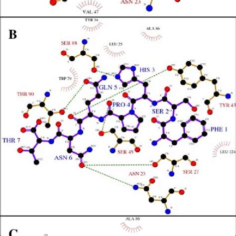 Ligplot Analysis [25] Showing The Hydrogen Bonding And Hydrophobic
