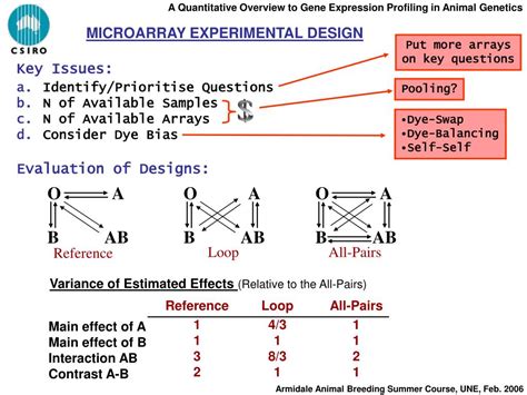 ppt microarray powerpoint presentation free download id 6143620