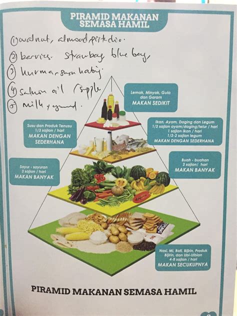 Piramid Makanan Ibu Hamil Davontaroluna