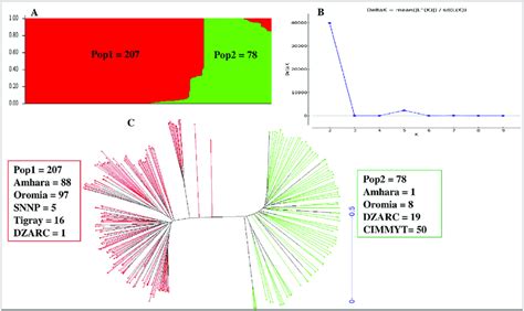 Population Structure Analysis Of The Durum Wheat Sp A Bayesian