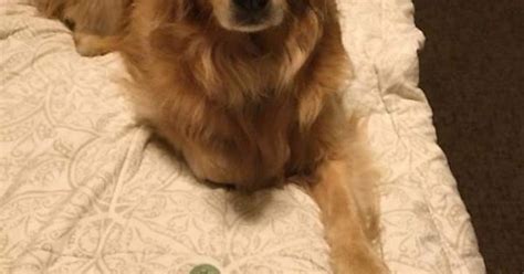 Zoey Album On Imgur