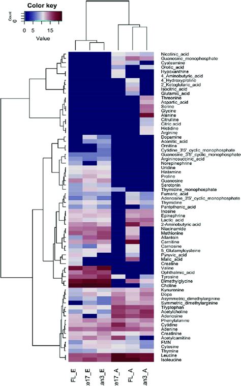 Hierarchical Clustering Analysis Of Different Primary Metabolites