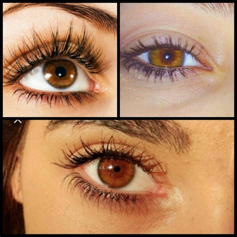 Ojos Marrones Ojos Marrones Ojos Color Cafe Ojos Marrones Claros