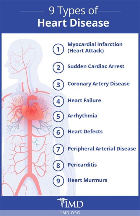 Heart Disease And You Risks Treatment Prevention And More 1md