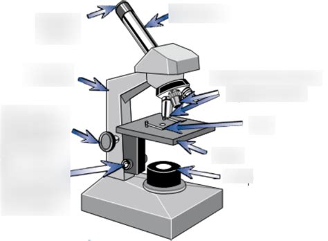 Microscope Labelled Diagram Gcse Micropedia My Xxx Hot Girl