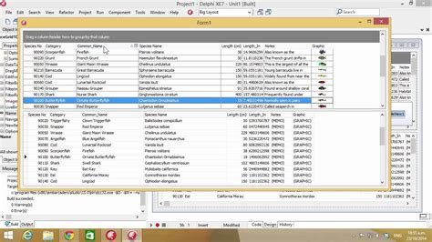 delphi tutorial 106 express quantum grid first impressions youtube