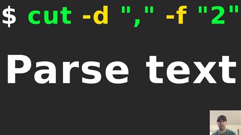 using the cut command to parse a csv file by delimiters and characters