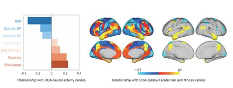 Figure 1 Neural Activity Duri [image] Eurekalert Science News Releases