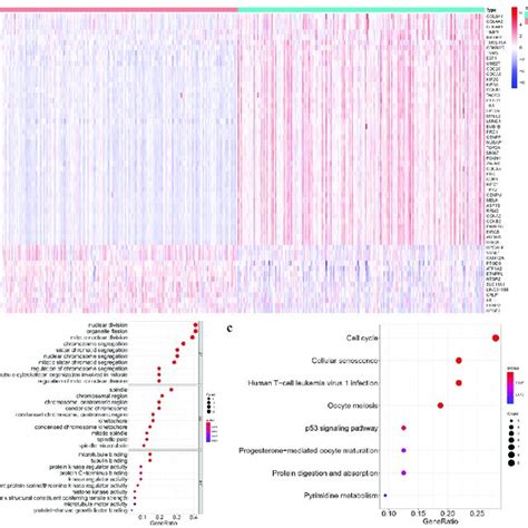 Functional Enrichment Analysis Of The Differential Expressed Genes