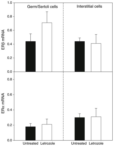 Erβ And α Mrna 18s Rrna Levels Quantified By Real Time Rt Pcr In