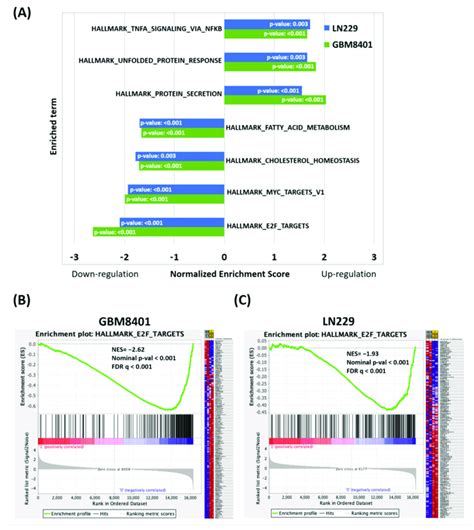 A Gene Set Enrichment Analysis Gsea Of The Most Upregulated And
