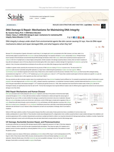 Mutation Dna Repair And Dna Integrity Learn Science At Scitable