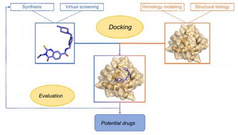molecular docking bioinformatics in drug discovery tsc