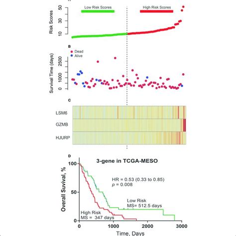 Prognostic Gene Analysis And Signature Generation Pipeline