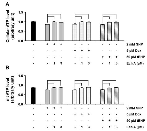 Ech A Protected Mitochondrial Functions Against Cardiotoxic