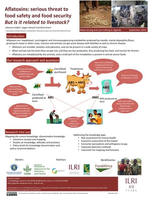 Aflatoxins Serious Threat To Food Safety And Food Security But Is It