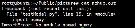 linux下使用nohup运行python脚本报错：import error no module named numpy问题解决 linux