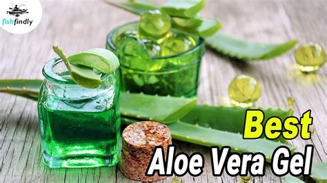 Best Aloe Vera Gel In 2020 Pick The Perfect One For You Youtube