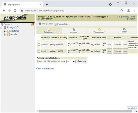 debian 11 bullseye postgresql 13 install phppgadmin server world