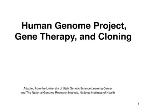 Ppt Human Genome Project Gene Therapy And Cloning Powerpoint