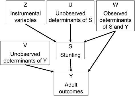 Instrumental Variable Analysis Of Consequences Of Stunting A Simple