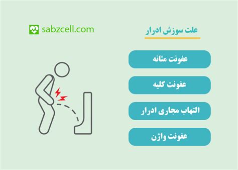 سوزش ادرار نشانه چیست؟ سلول سبز