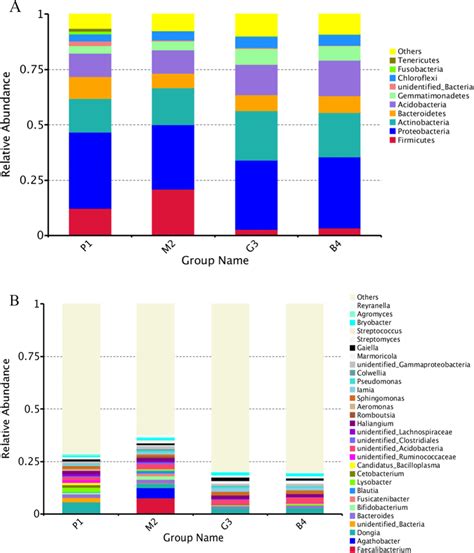 Relative Abundance Of Bacterial At Phylum And Genus Levels Of P1 M2