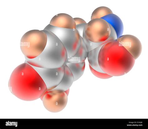 Levodopa L Dopa Parkinsons Disease Drug Molecular Model L Dopa Is A