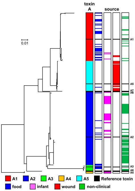 Toxins Free Full Text Diversity Of The Genomes And Neurotoxins Of