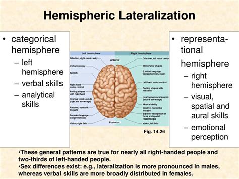 Ppt Intellectual And Behavioral Functions Powerpoint Presentation
