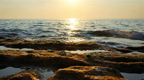 Free Images Beach Landscape Sea Coast Ocean Horizon Wave Pier