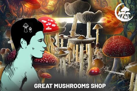 Exploring The World Of Psyched Mushroom Gummies An Ultimate Guide With