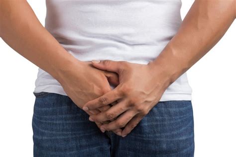 Testicular Atrophy Symptoms Causes Diagnosis Treatment Prediction