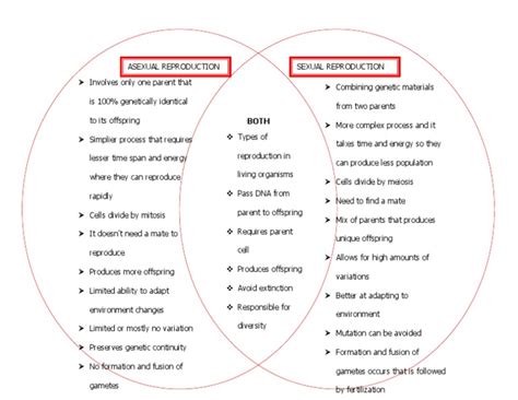 32 venn diagram mitosis and meiosis wiring diagram database